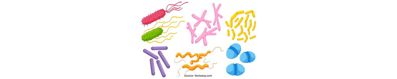 Microbiome Capsules to Stabilize Beta-Cell Function in T1D